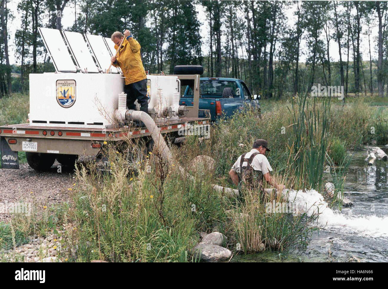 Fish are being stocked into the trout pond near the Garrison Dam ...
