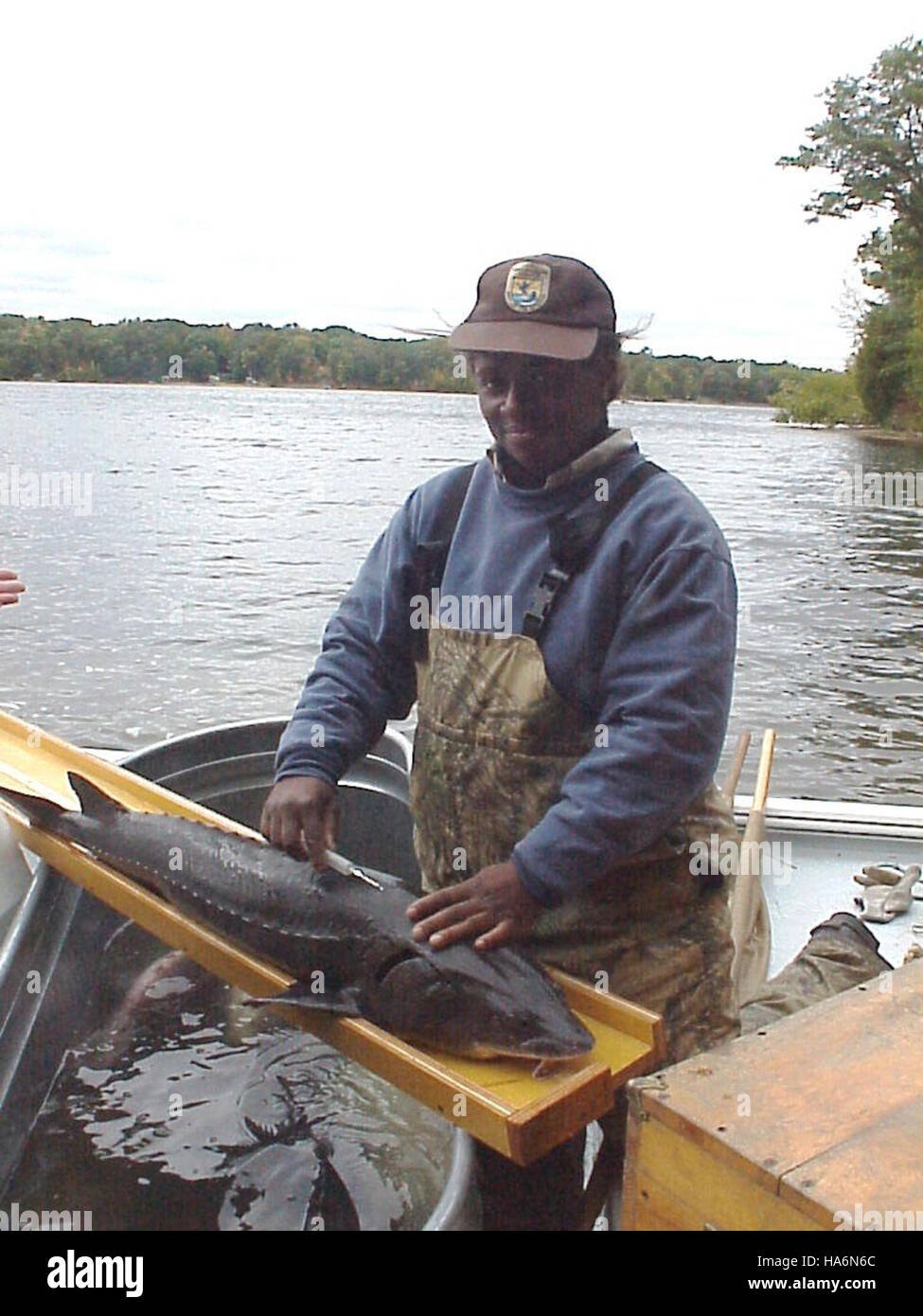 Passive integrated transponder hi-res stock photography and images - Alamy