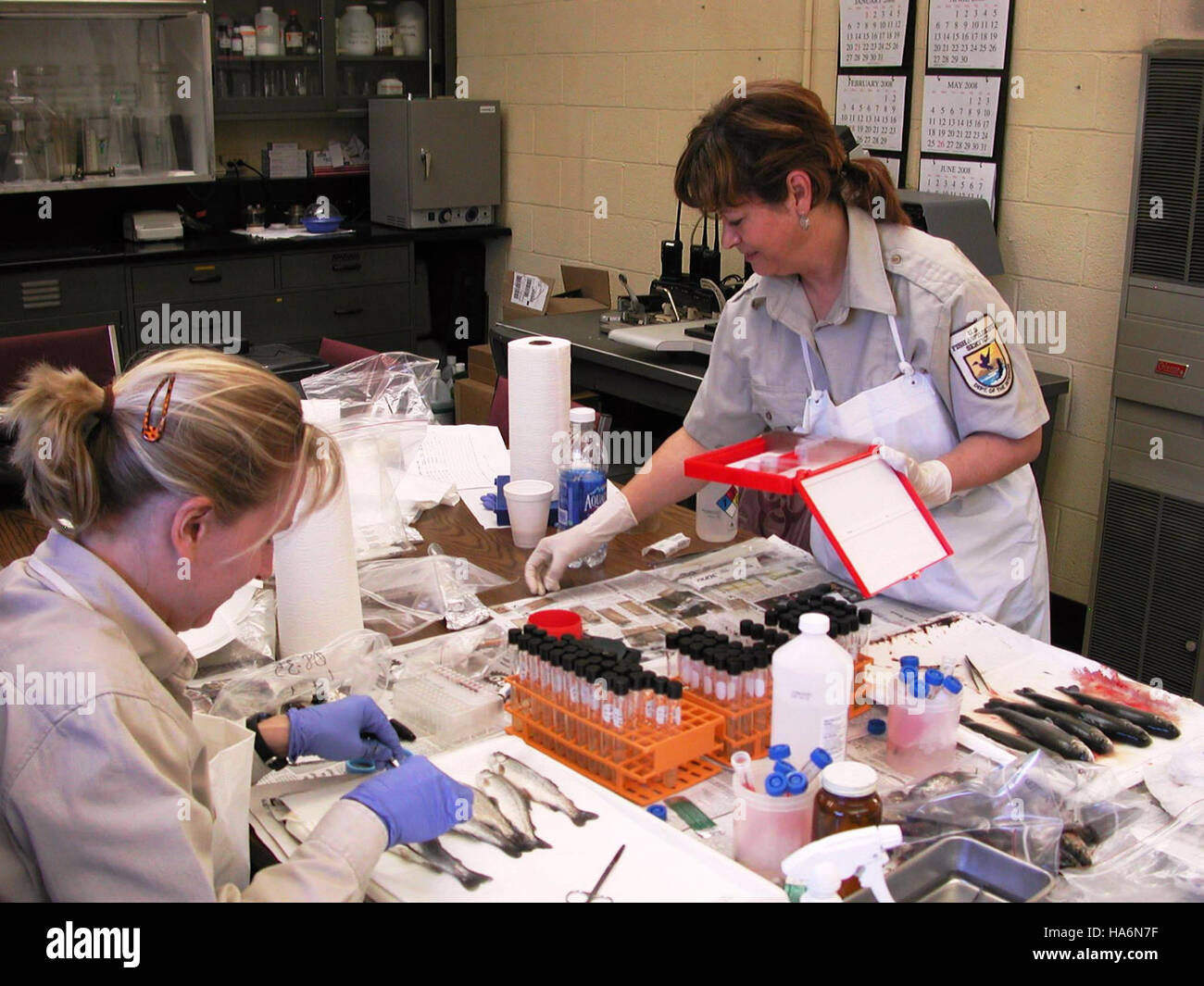 eddiesfisheriesfws 8614909532 Staff from the Dexter Fish Health Unit ...