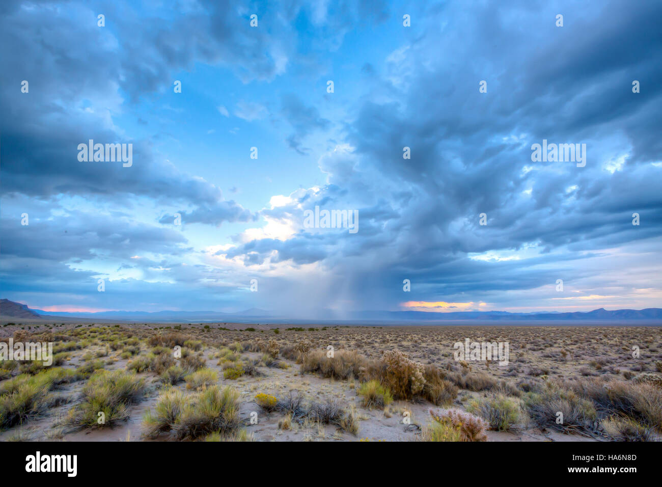 Basin and Range National Monument in Nevada offers a diverse landscape ...