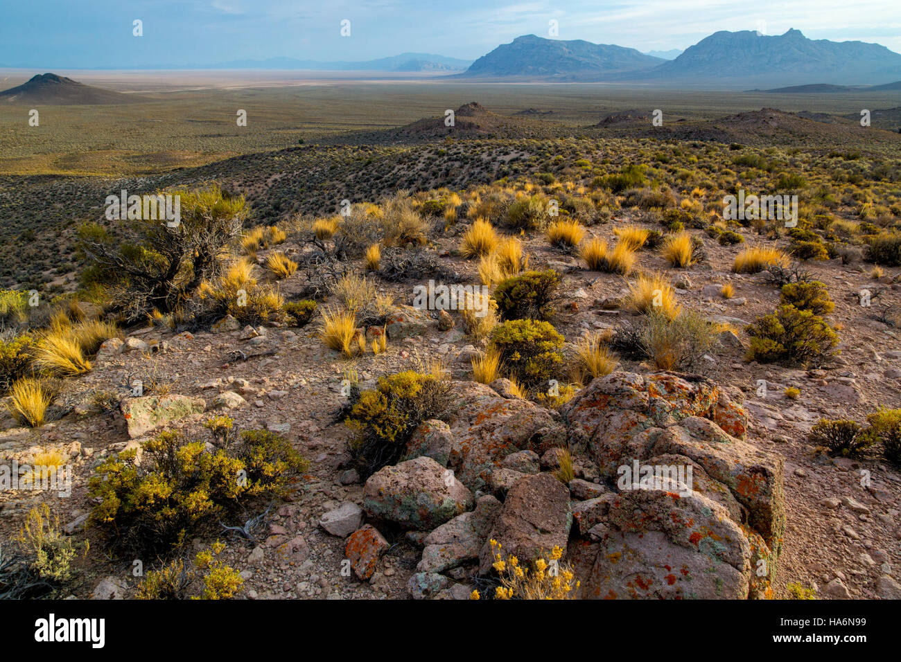 Basin and Range National Monument, located in Nevada, features unique ...