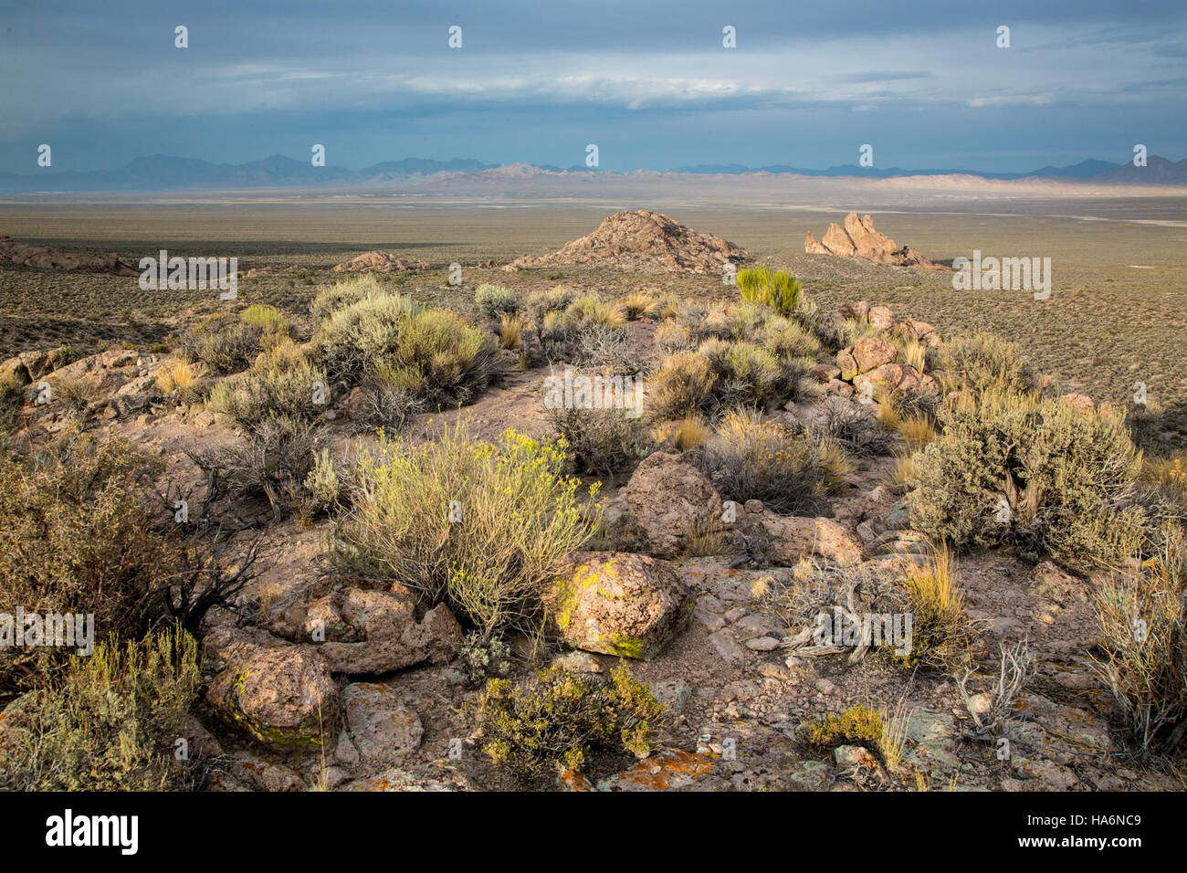 Basin and Range National Monument in Nevada showcases stunning desert ...