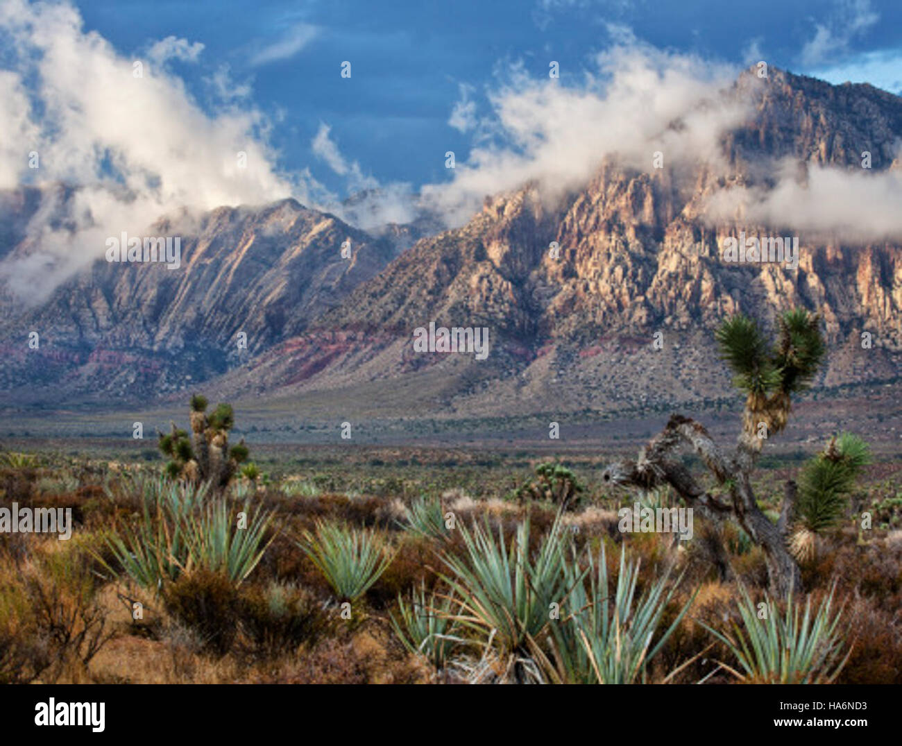 Rainbow Mountain Wilderness in Nevada showcases unique geological ...