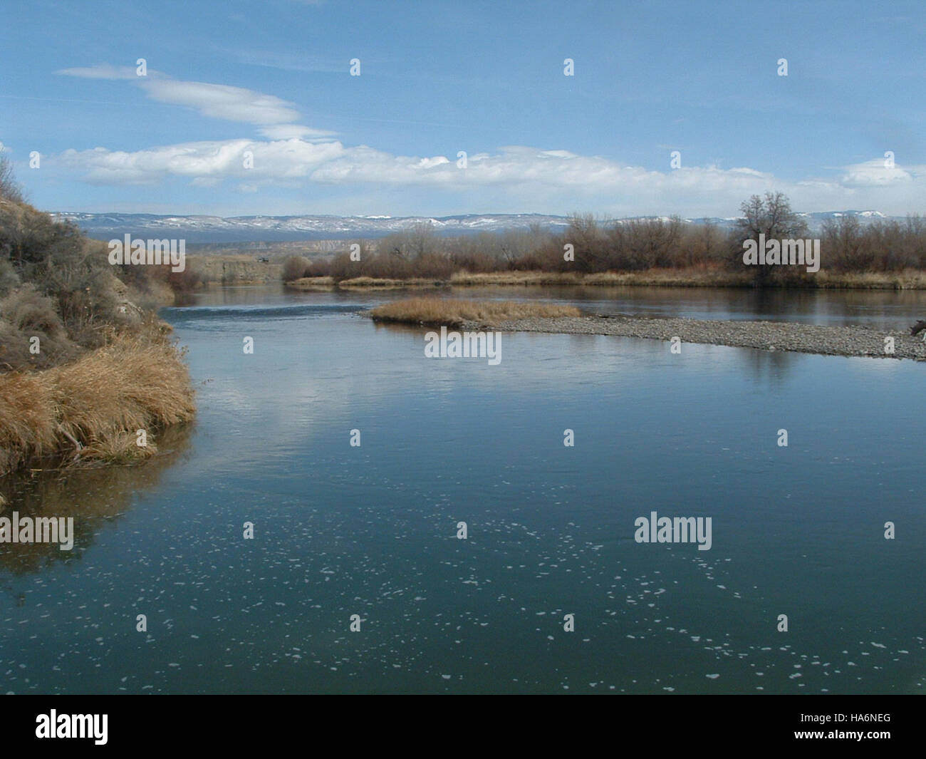 The Colorado River Fish Recovery Program aims to protect and restore ...