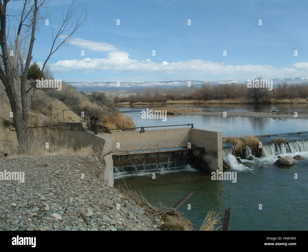 The Colorado River Fish Recovery Program aims to restore native fish ...