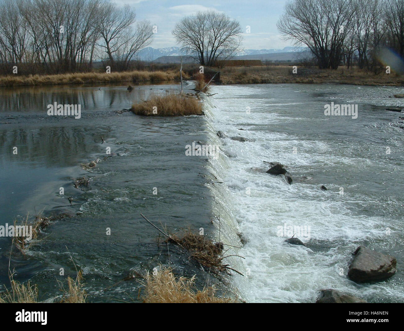The Colorado River Fish Recovery Program aims to protect endangered ...