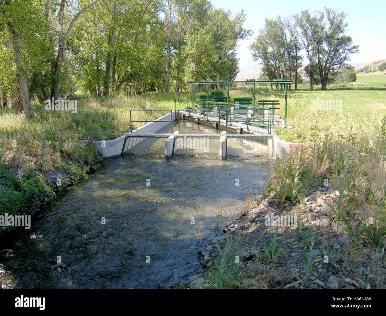 The U.S. Fish and Wildlife Service is leading fisheries habitat ...