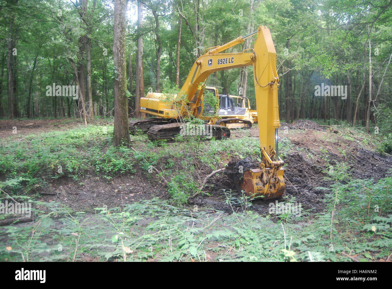 The Rosedale Lake Restoration project focuses on revitalizing the lake ...