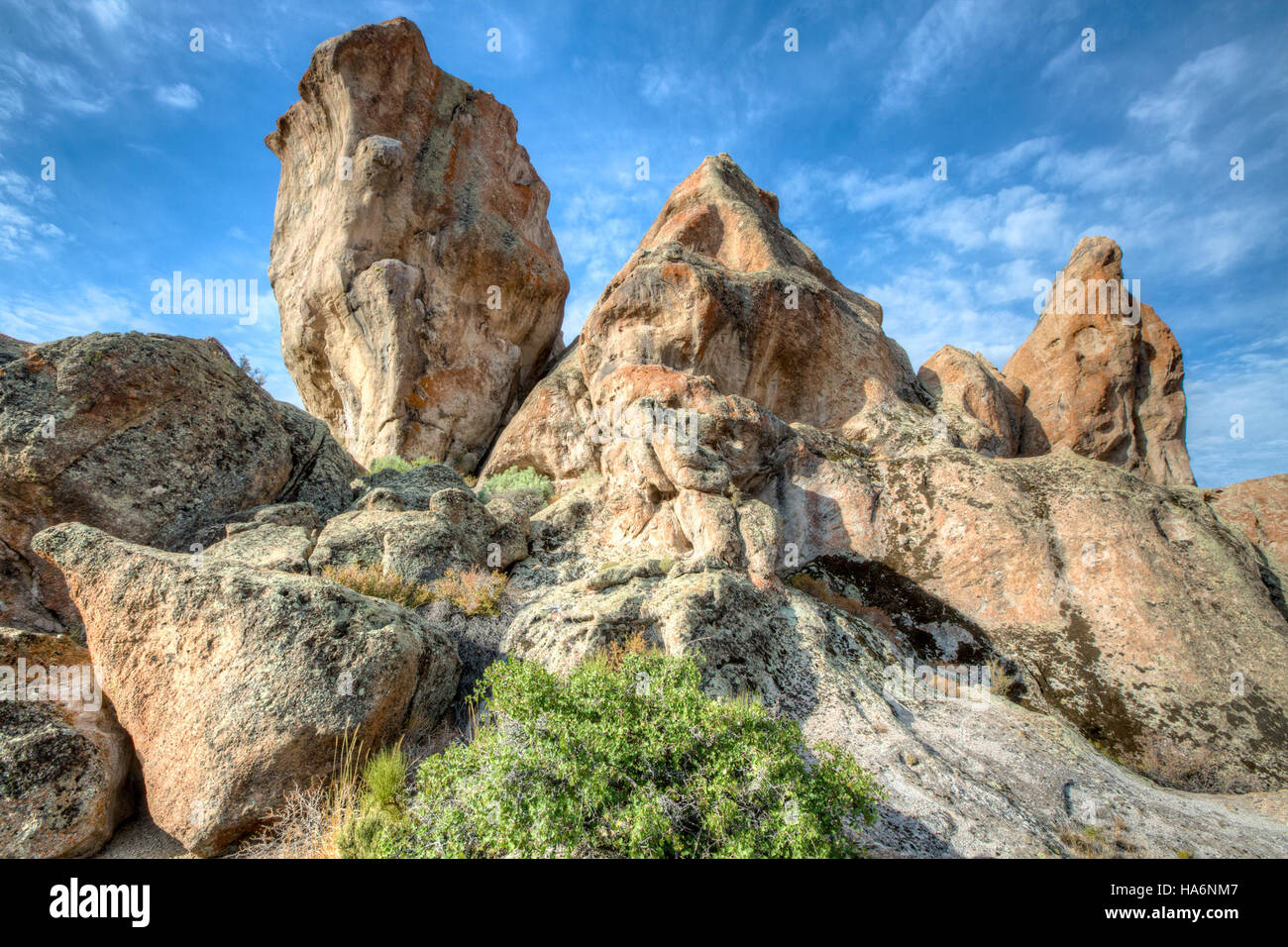 Basin and Range National Monument in Nevada is a vast area of public ...