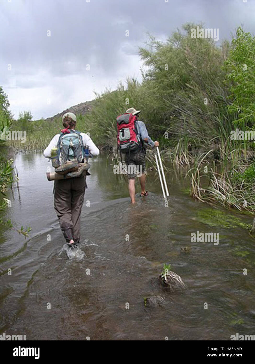 The Southwest Region of the U.S. focused on habitat restoration and ...