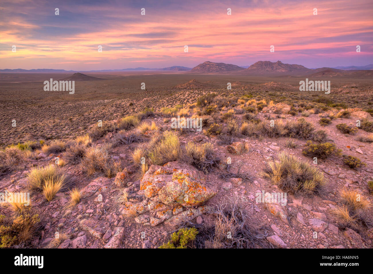 Basin and Range National Monument, managed by the Bureau of Land ...