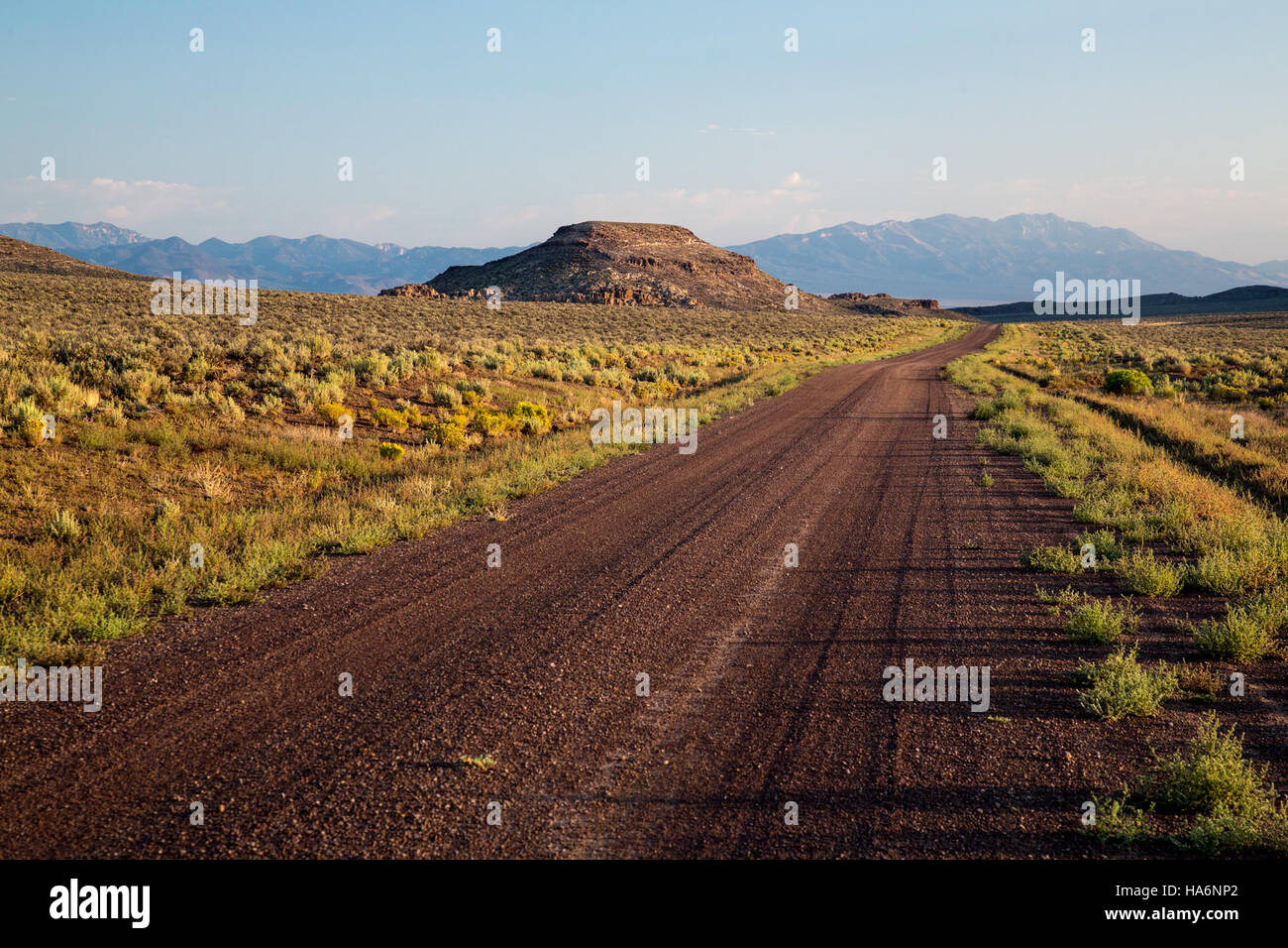 Basin and Range National Monument in Nevada is a vast area of protected ...
