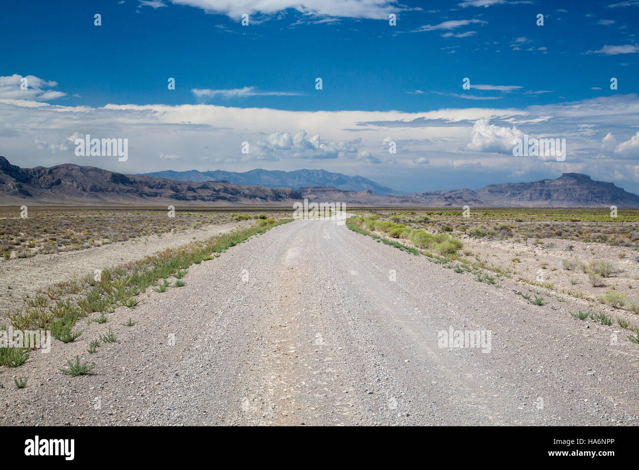 Basin and Range National Monument is a protected area in Nevada that ...