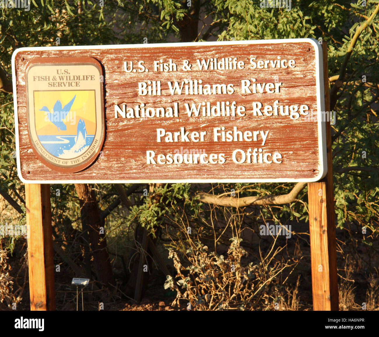 The Youth Employment Program in the Southwest Region supports young ...