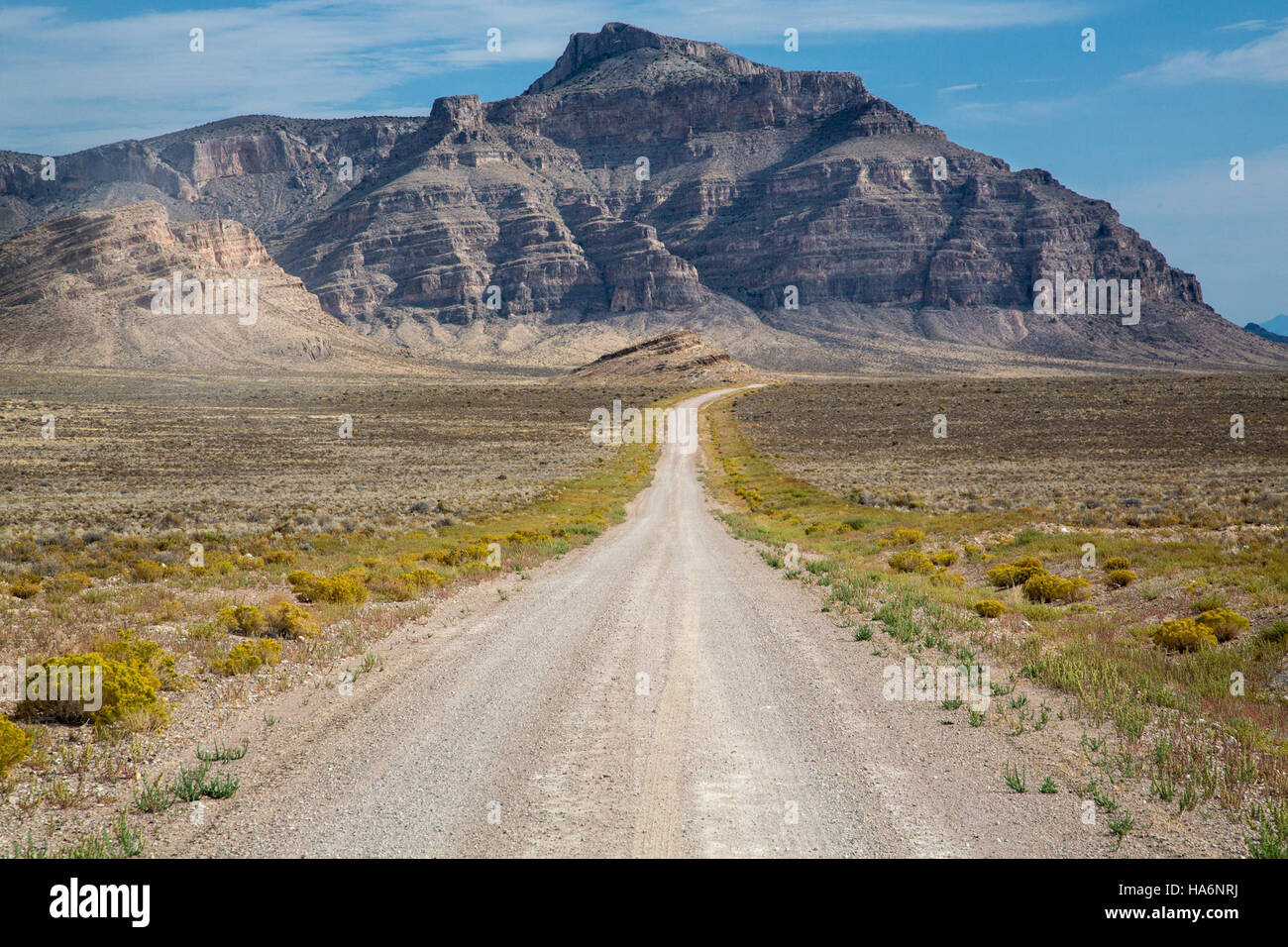 Basin and Range National Monument in Nevada showcases diverse ...