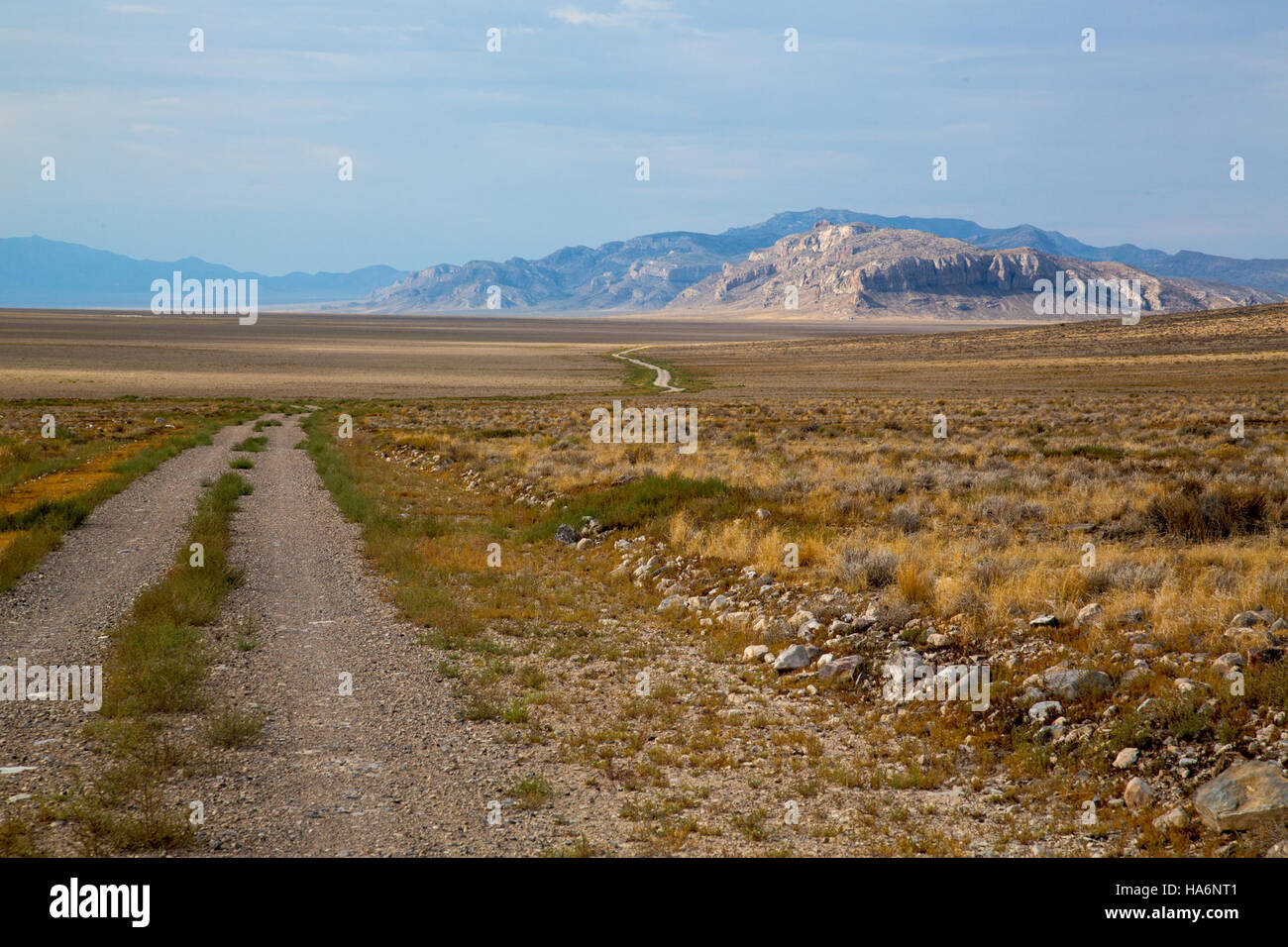 The Basin and Range National Monument, managed by the Bureau of Land ...