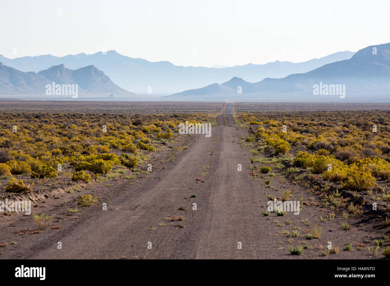 Basin and Range National Monument in Nevada features unique landscapes ...