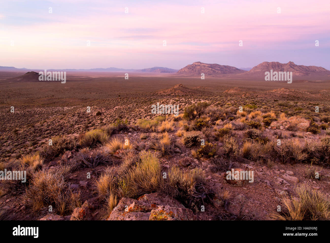 Basin and Range National Monument in Nevada is a protected area with ...