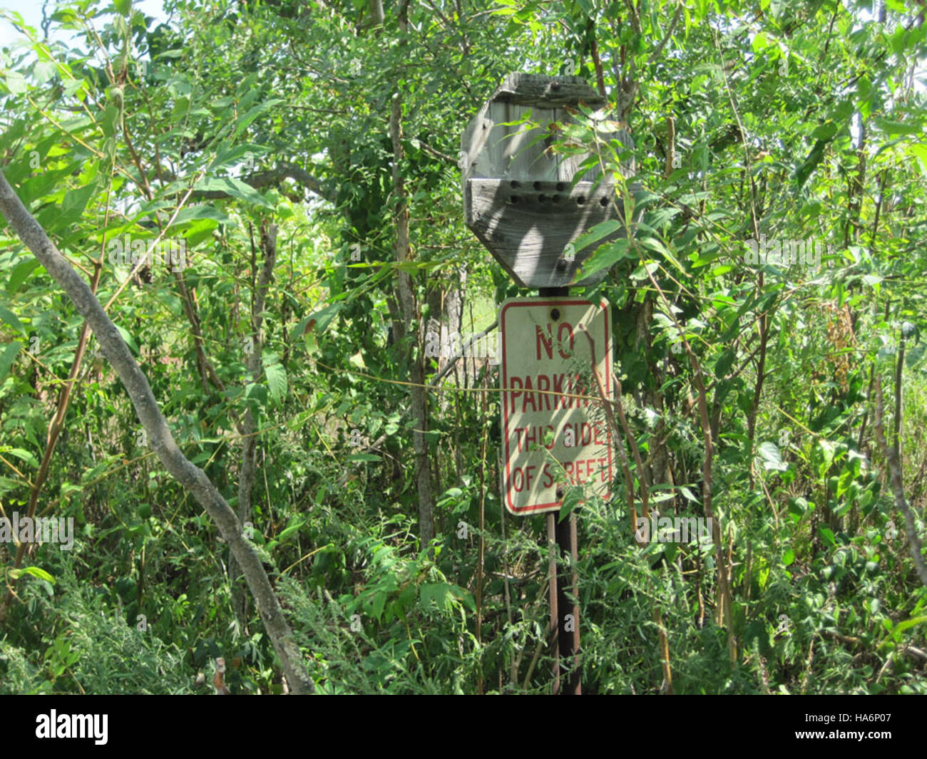 The Long Beach West Habitat Restoration project focuses on revitalizing ...