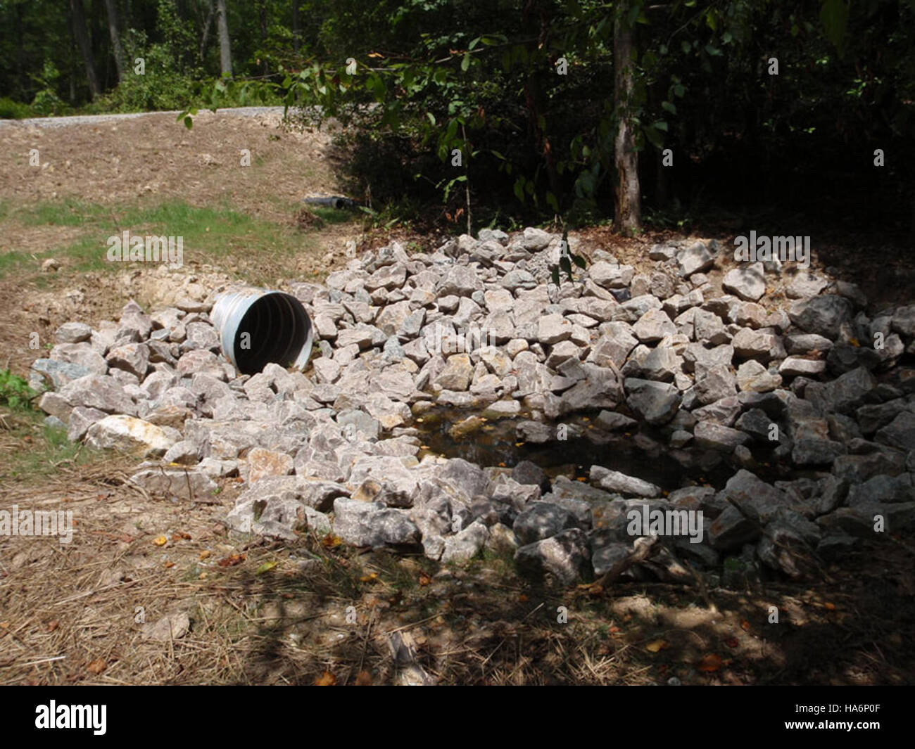 fws-recovery-act-projects 5258326260 Harrison Lake National Fish ...