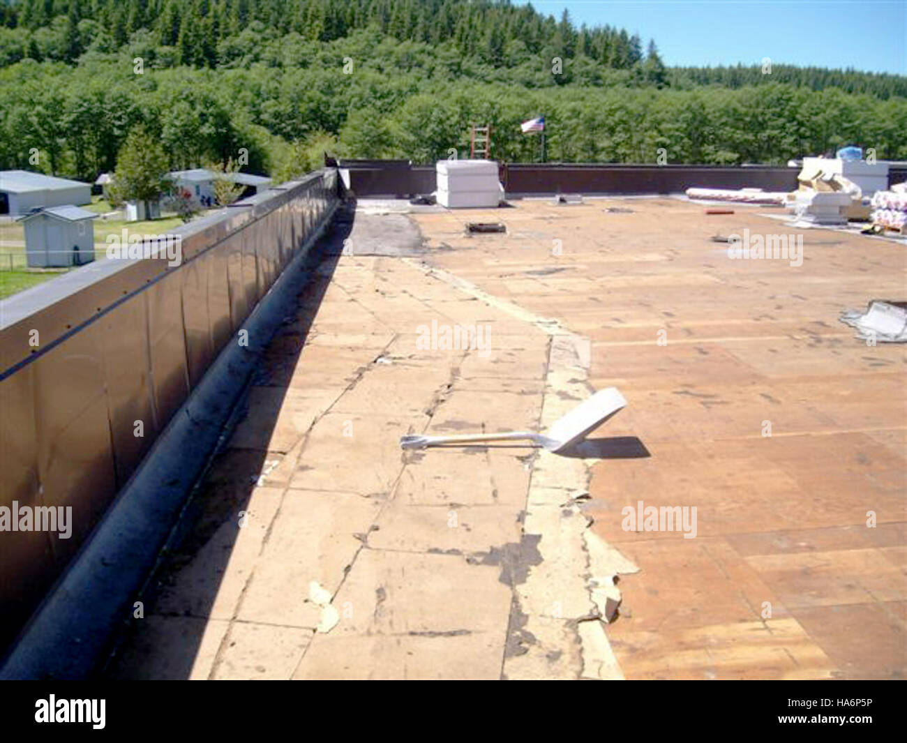 The Makah Tribe, supported by federal wildlife recovery projects, works ...