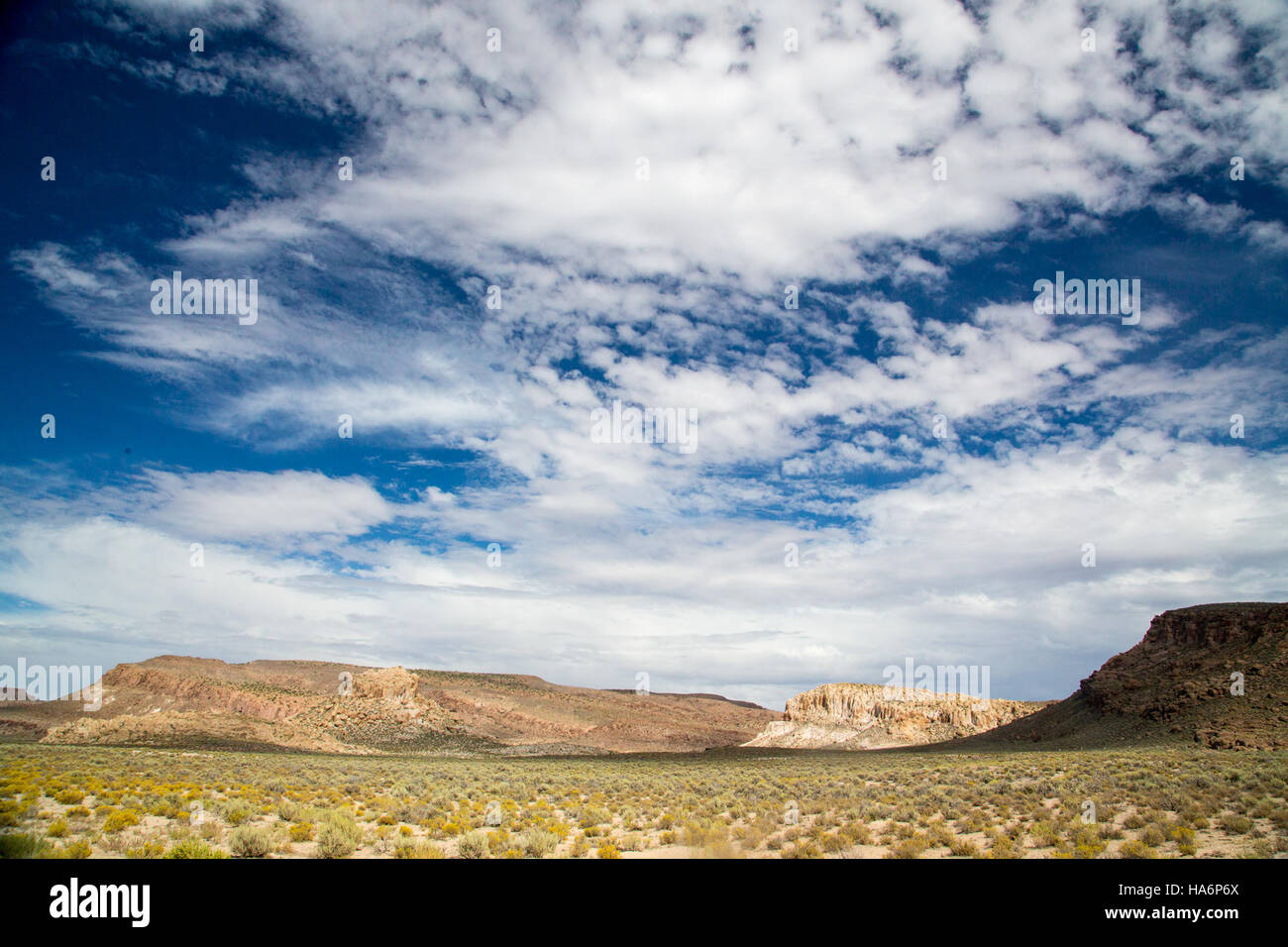 Basin and Range National Monument is a protected area in Nevada that ...