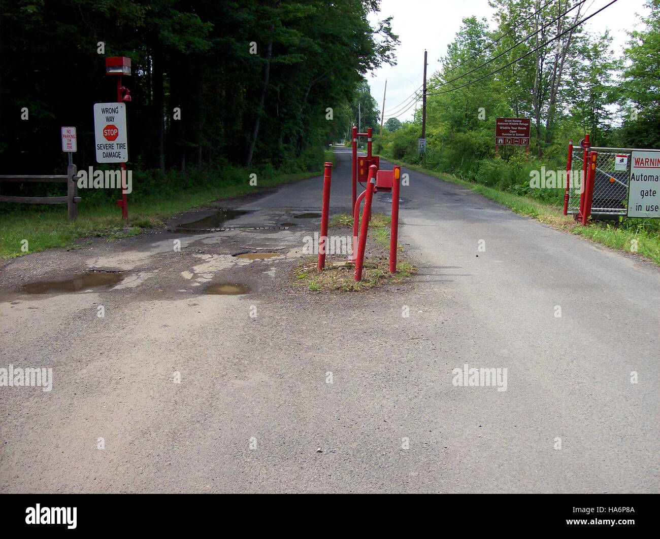 The Great Swamp National Wildlife Refuge is a key location for ...