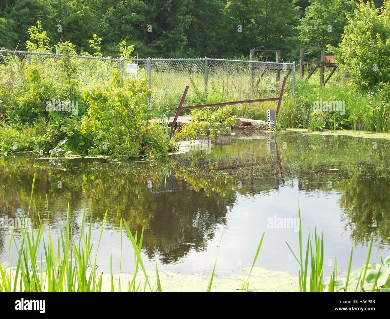 The Great Swamp National Wildlife Refuge is a key habitat for diverse ...
