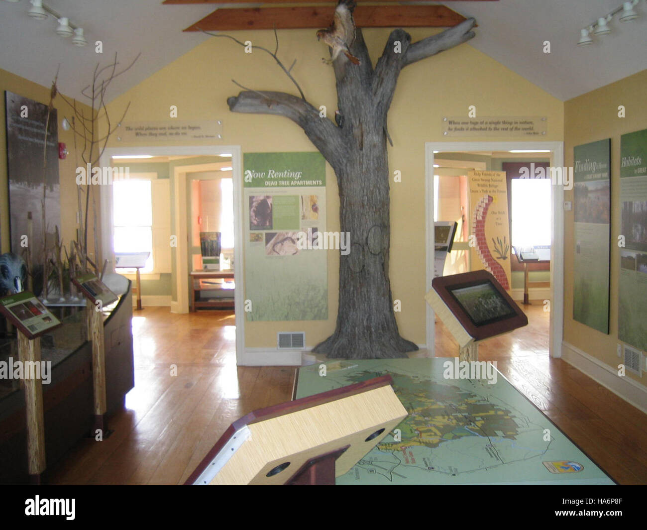 The Great Swamp National Wildlife Refuge plays a vital role in ...
