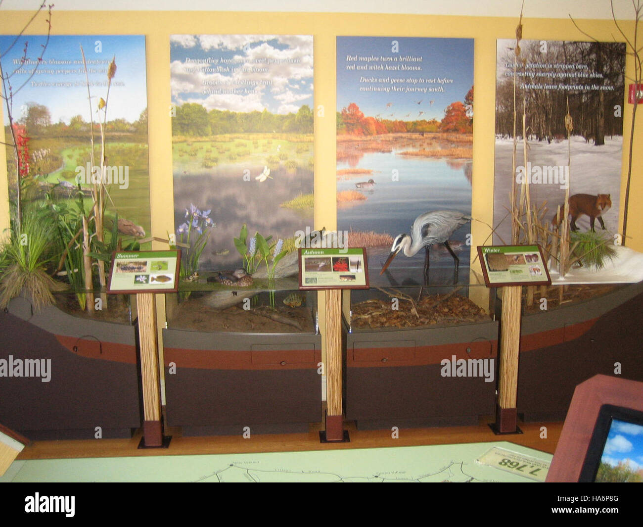 Great Swamp National Wildlife Refuge, a critical wetland area, serves ...