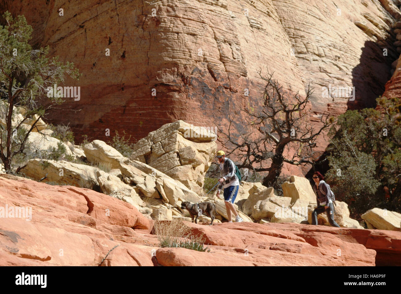 Red Rock Canyon National Conservation Area offers visitors a stunning ...