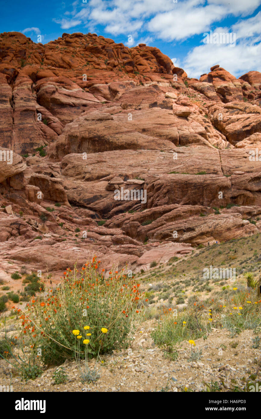 Red Rock Canyon National Conservation Area in Nevada offers visitors a ...