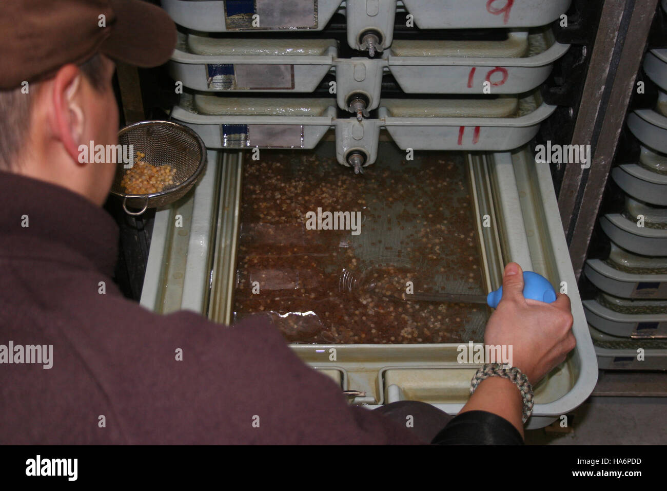 White river national fish hatchery hi-res stock photography and images ...