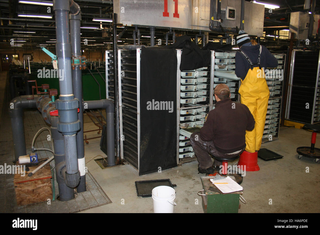 The White River National Fish Hatchery, part of a federal recovery ...