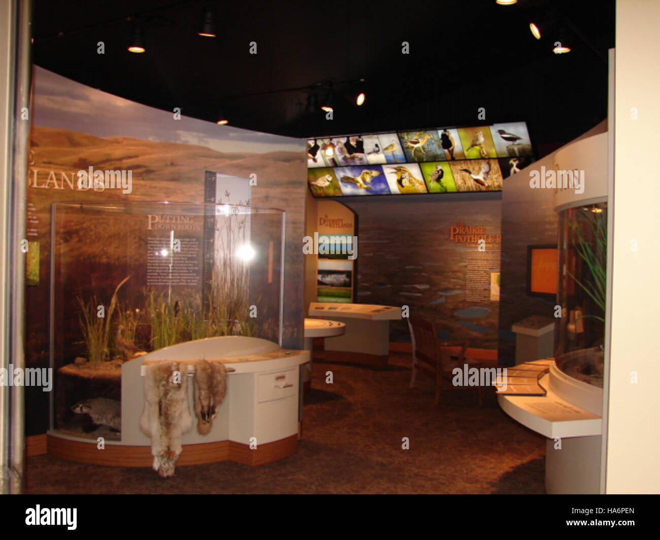 This image from the U.S. Fish and Wildlife Service Recovery Act ...