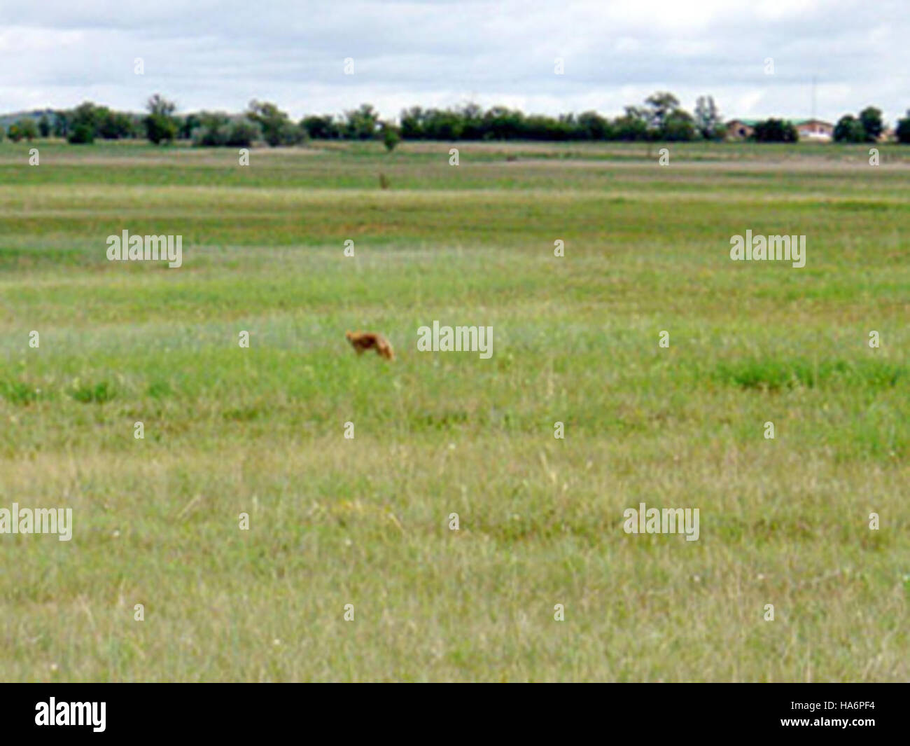 This image highlights ongoing recovery efforts at the Las Vegas ...