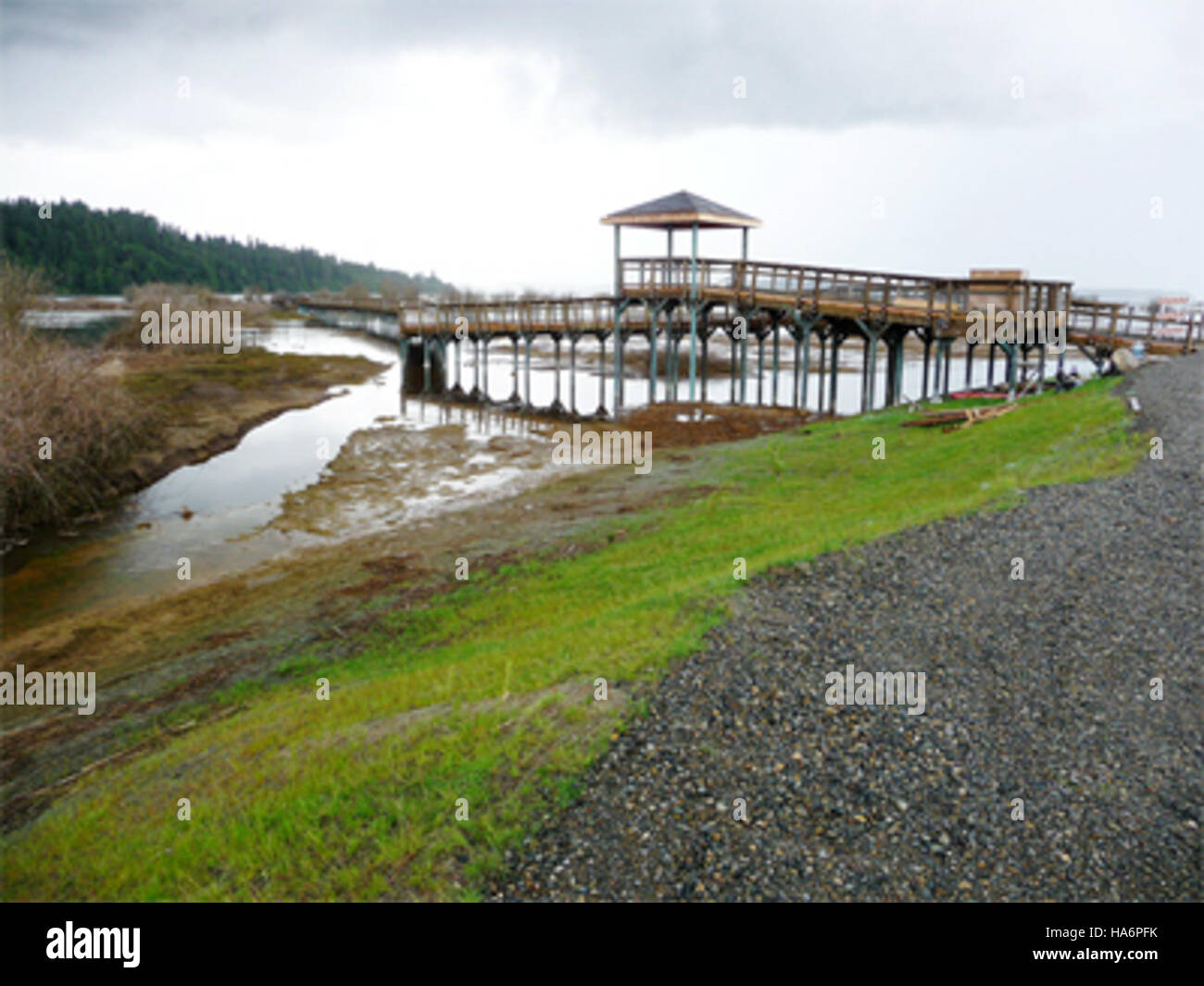 The Nisqually National Wildlife Refuge (NWR) is a vital part of the ...