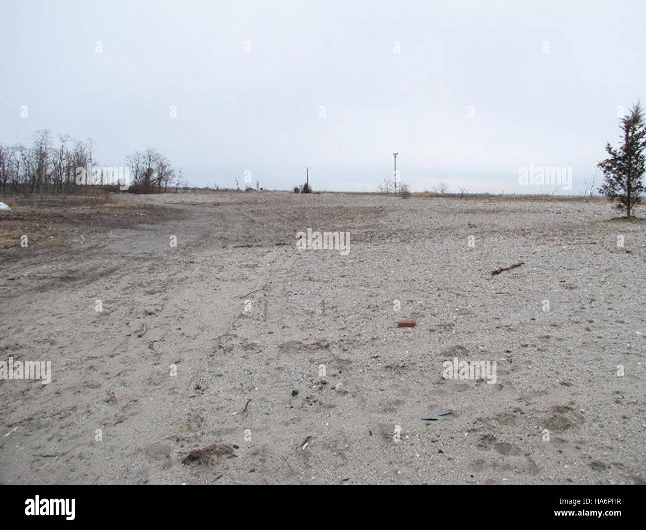Long Beach West Habitat Restoration project aims to restore coastal ...