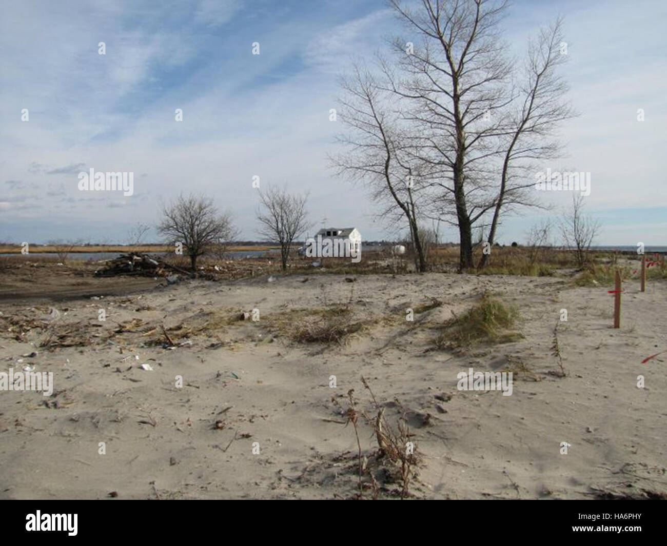 The Long Beach West Habitat Restoration project aims to rehabilitate ...