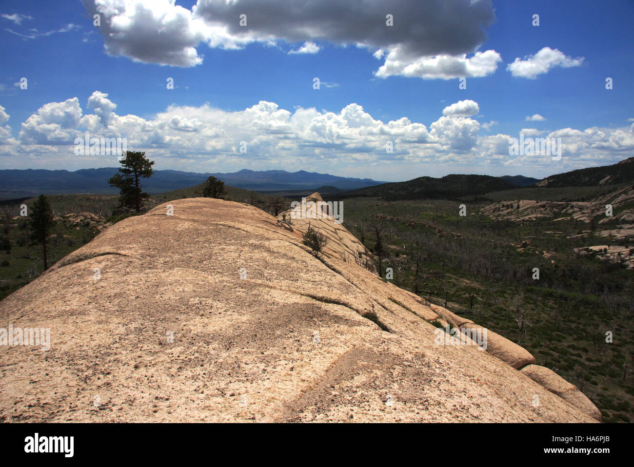 Parsnip Peak Wilderness, located in Nevada, is a protected area managed ...