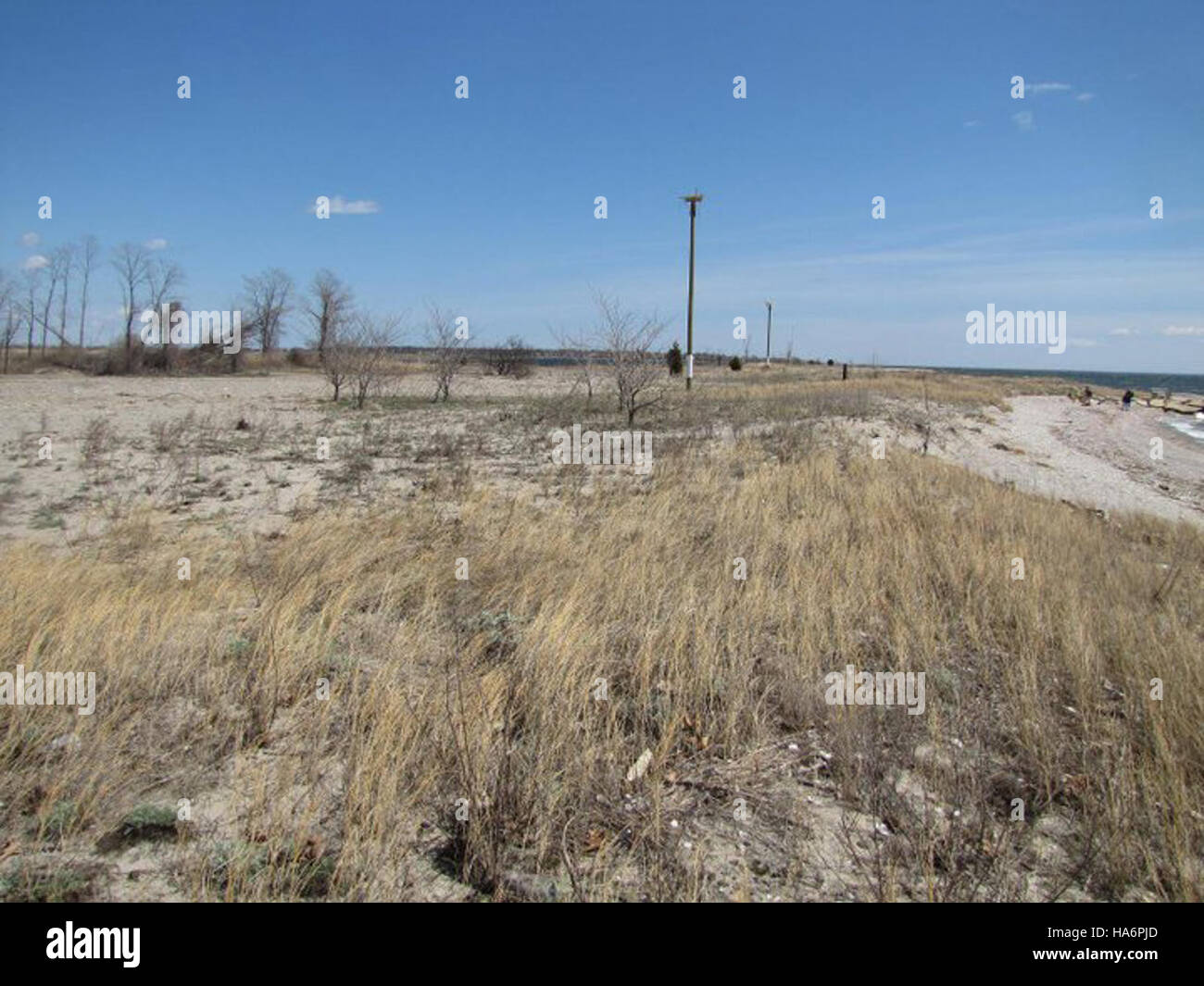 The Long Beach West Habitat Restoration project, focusing on rebuilding ...