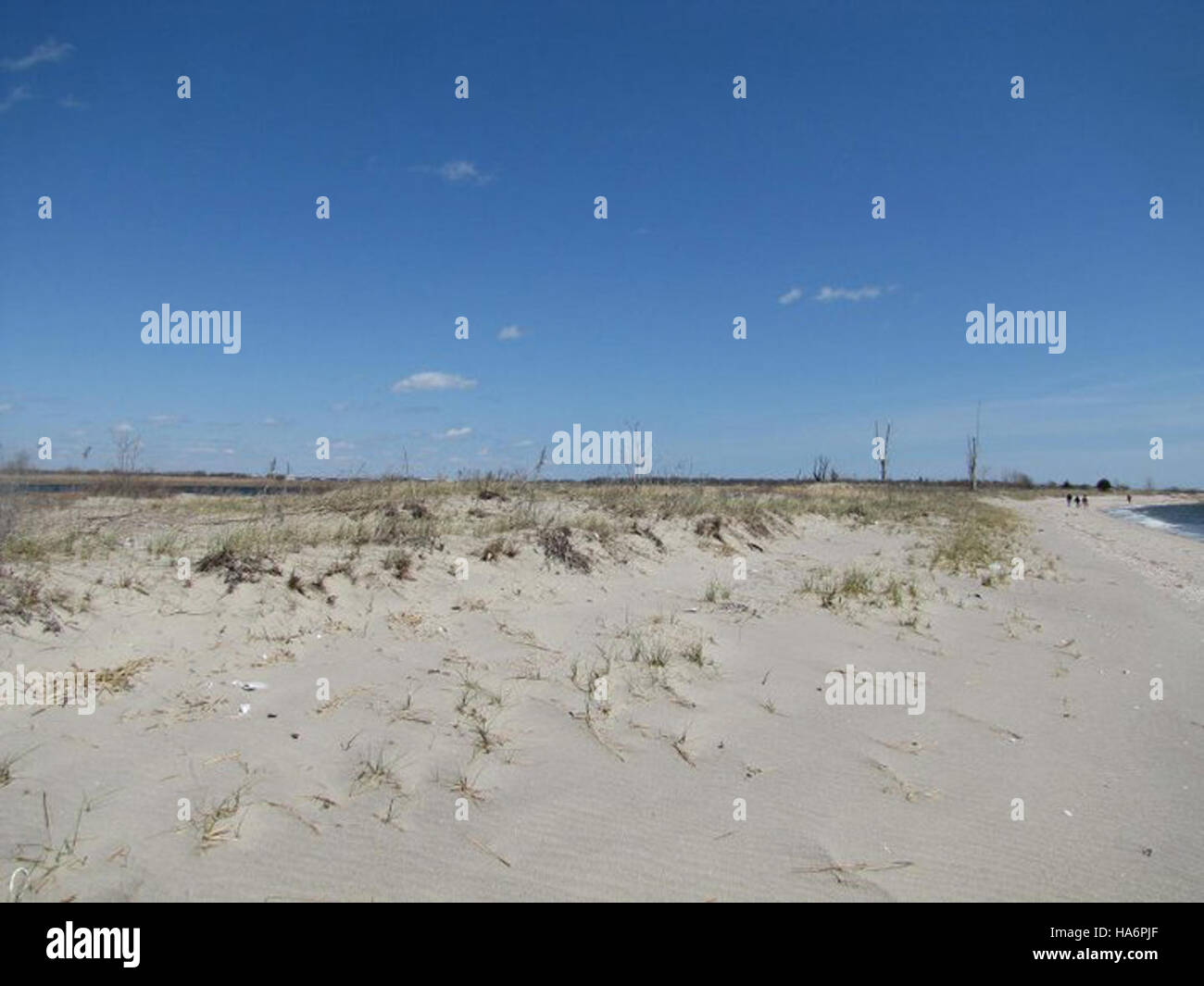 The Long Beach West Habitat Restoration project focuses on improving ...