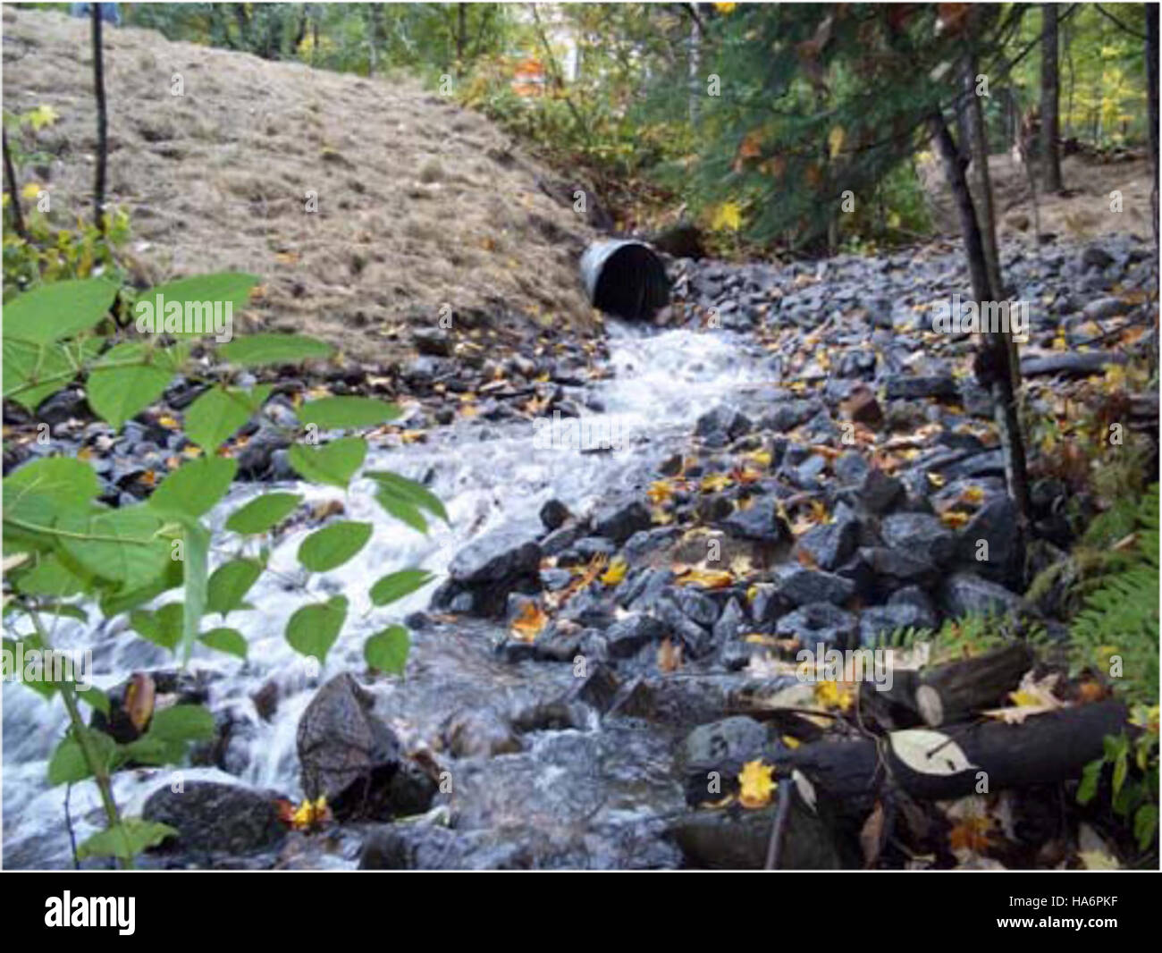 The Lake Champlain Fish and Wildlife Resources Office is part of the U ...