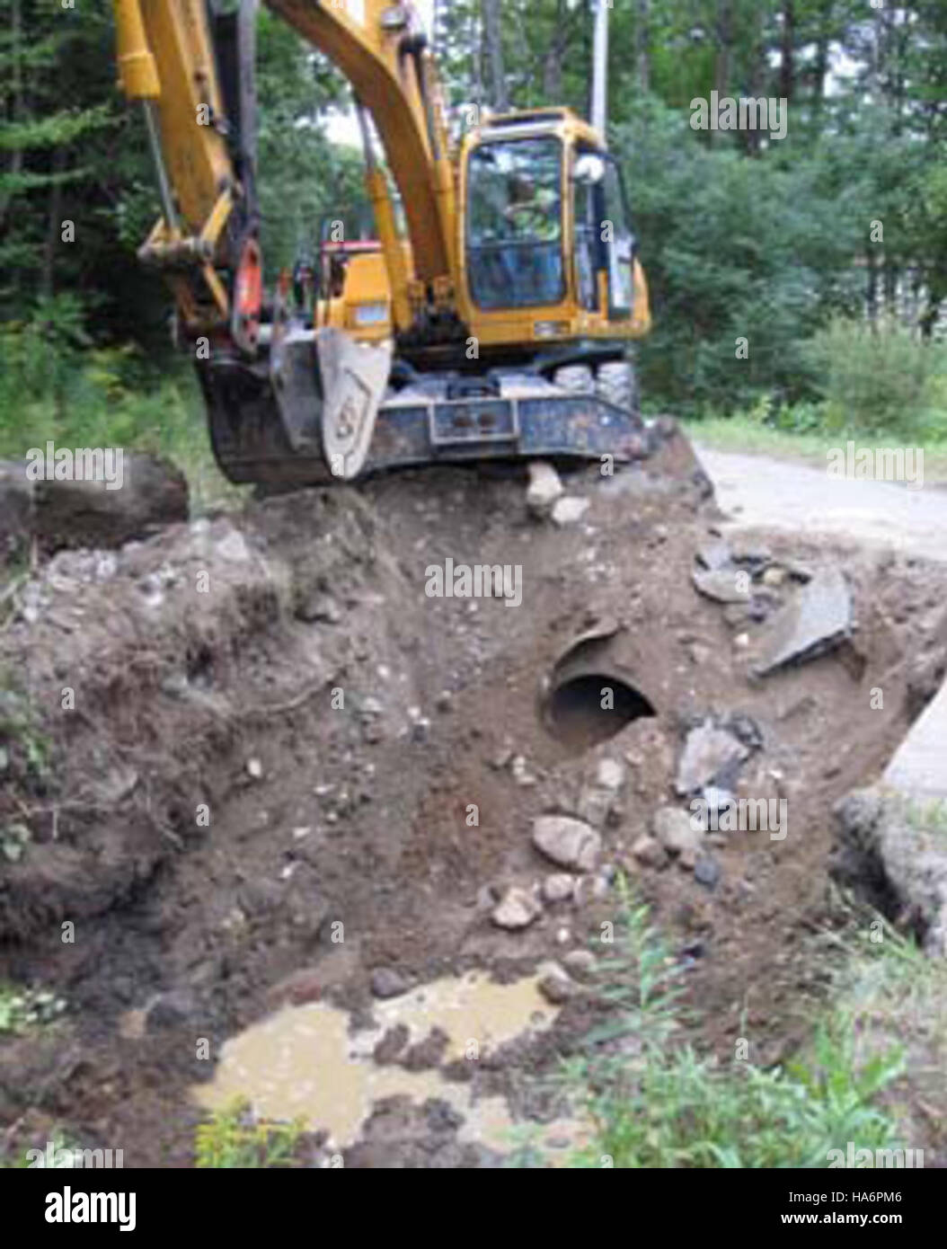 Lake Champlain FWRO supports wildlife conservation efforts by managing ...