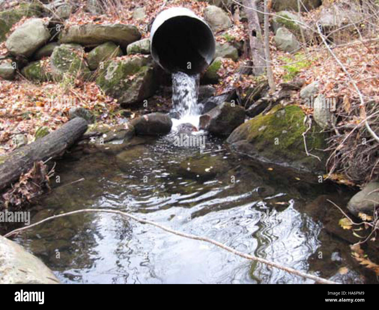 The Lake Champlain Fish and Wildlife Resource Office manages a variety ...