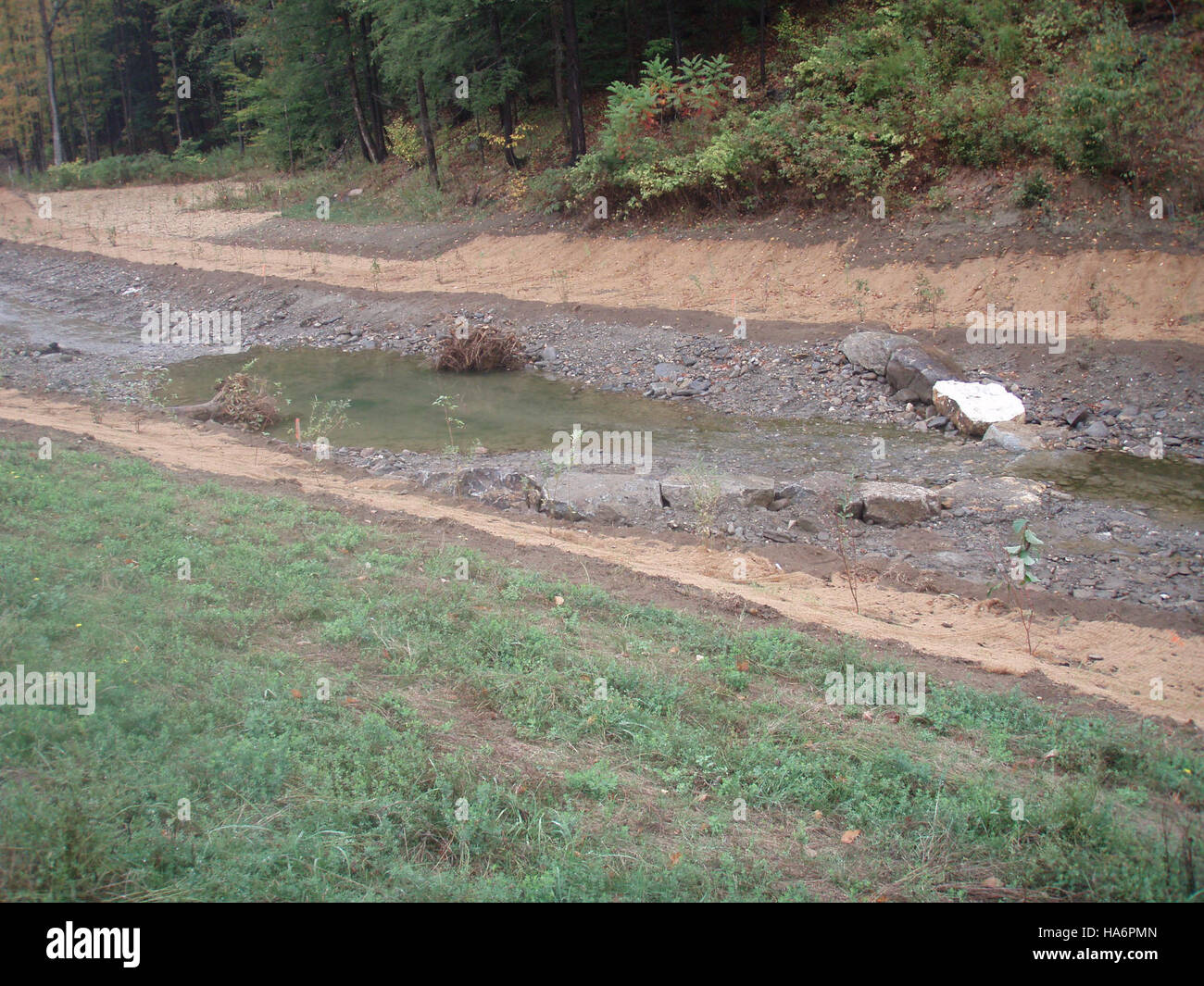 The Warren Brook and Cold River habitat restoration project focuses on ...
