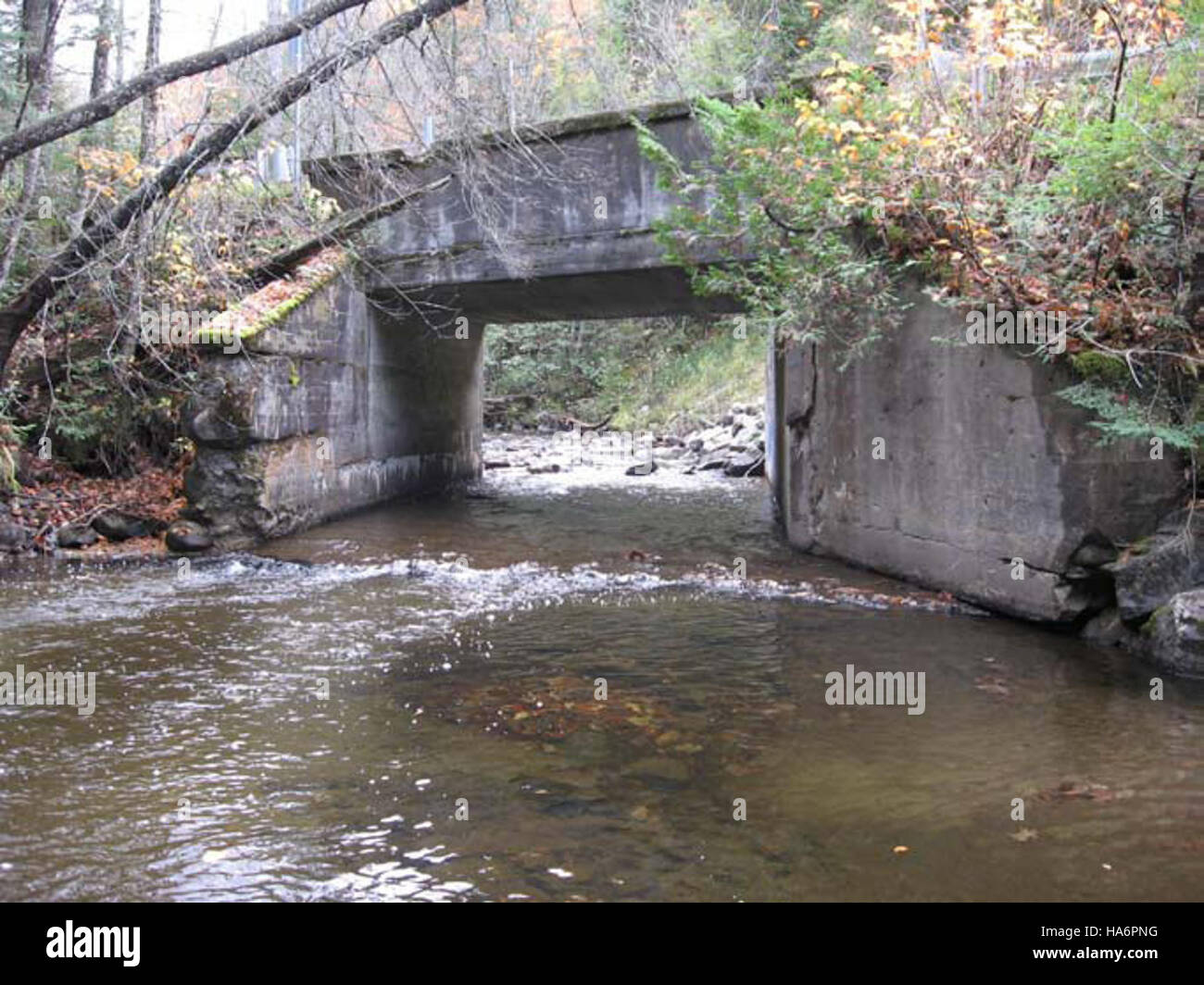 The Lake Champlain Fish and Wildlife Resource Office initiated the ...