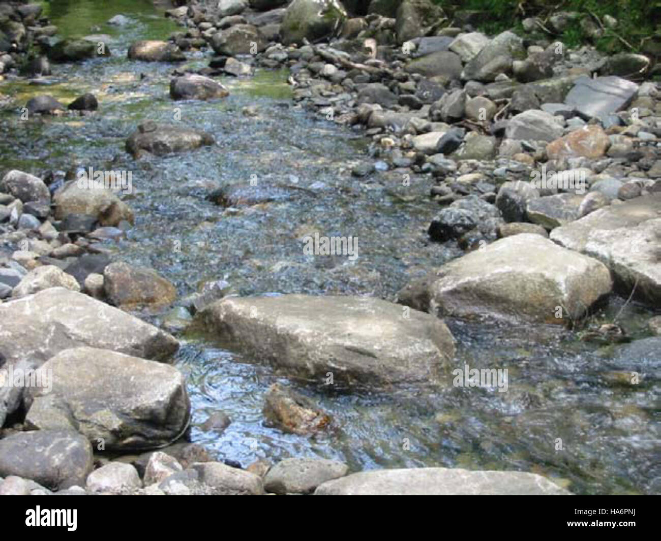 The Lake Champlain Fish and Wildlife Resource Office focuses on ...