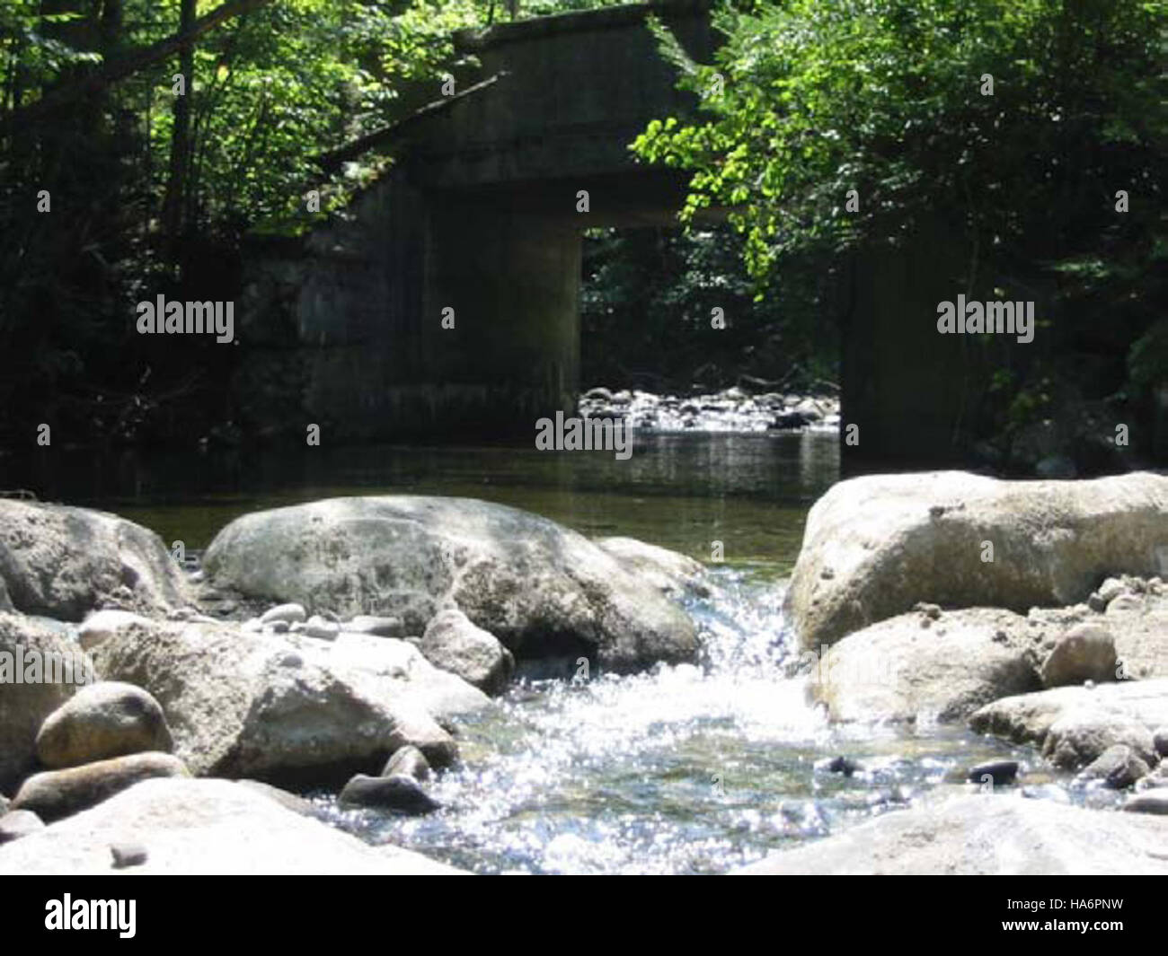 The Lake Champlain Fish and Wildlife Resource Office and Great Brook ...