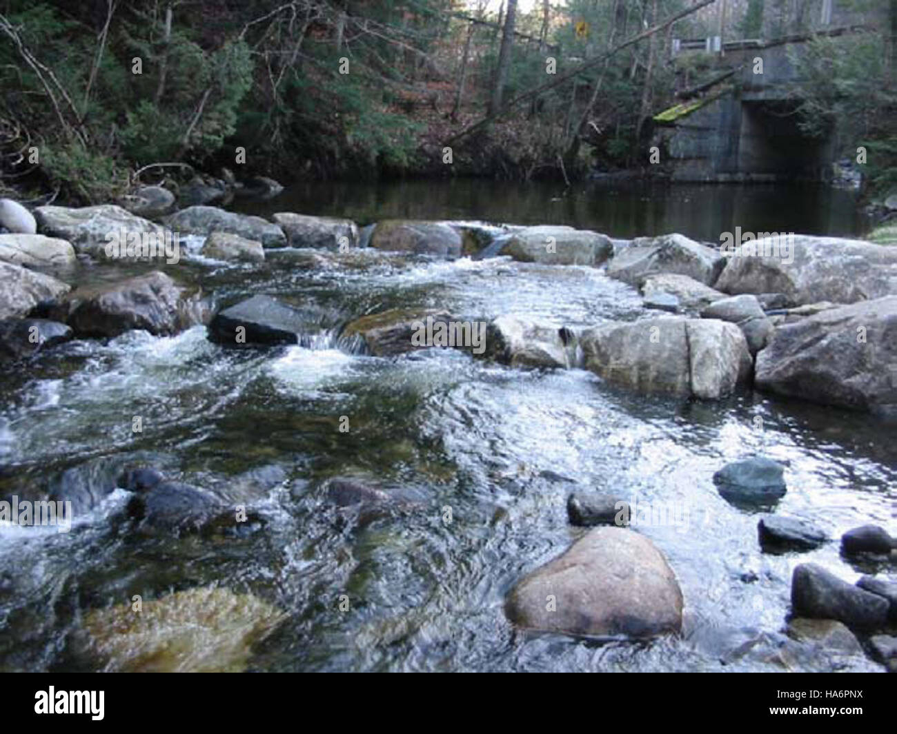 The Lake Champlain Fish and Wildlife Resource Office works to protect ...